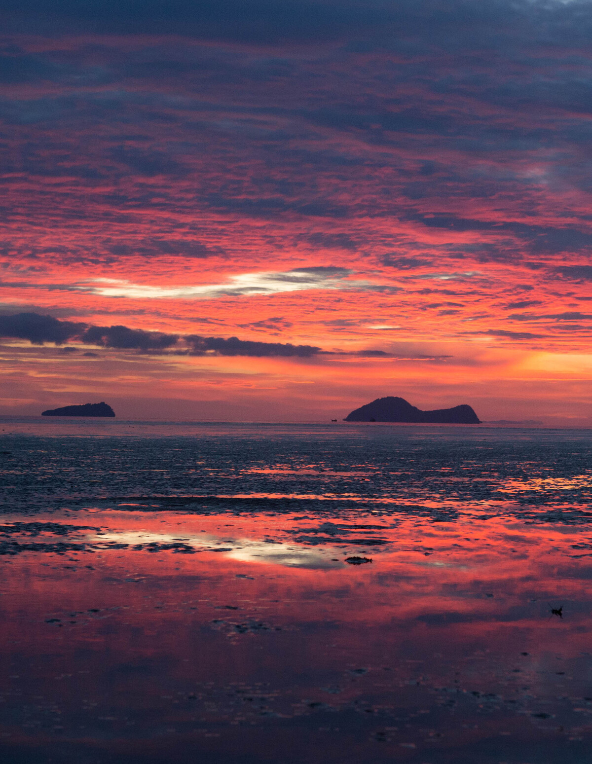 World Oceans Day 2024 - WCS.org